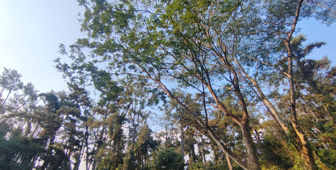 GEF Indonesia SCIP